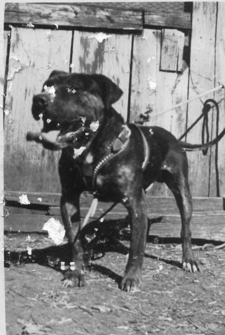 From Wales arrived; John PH Colby , who had a preference for the Irish ...